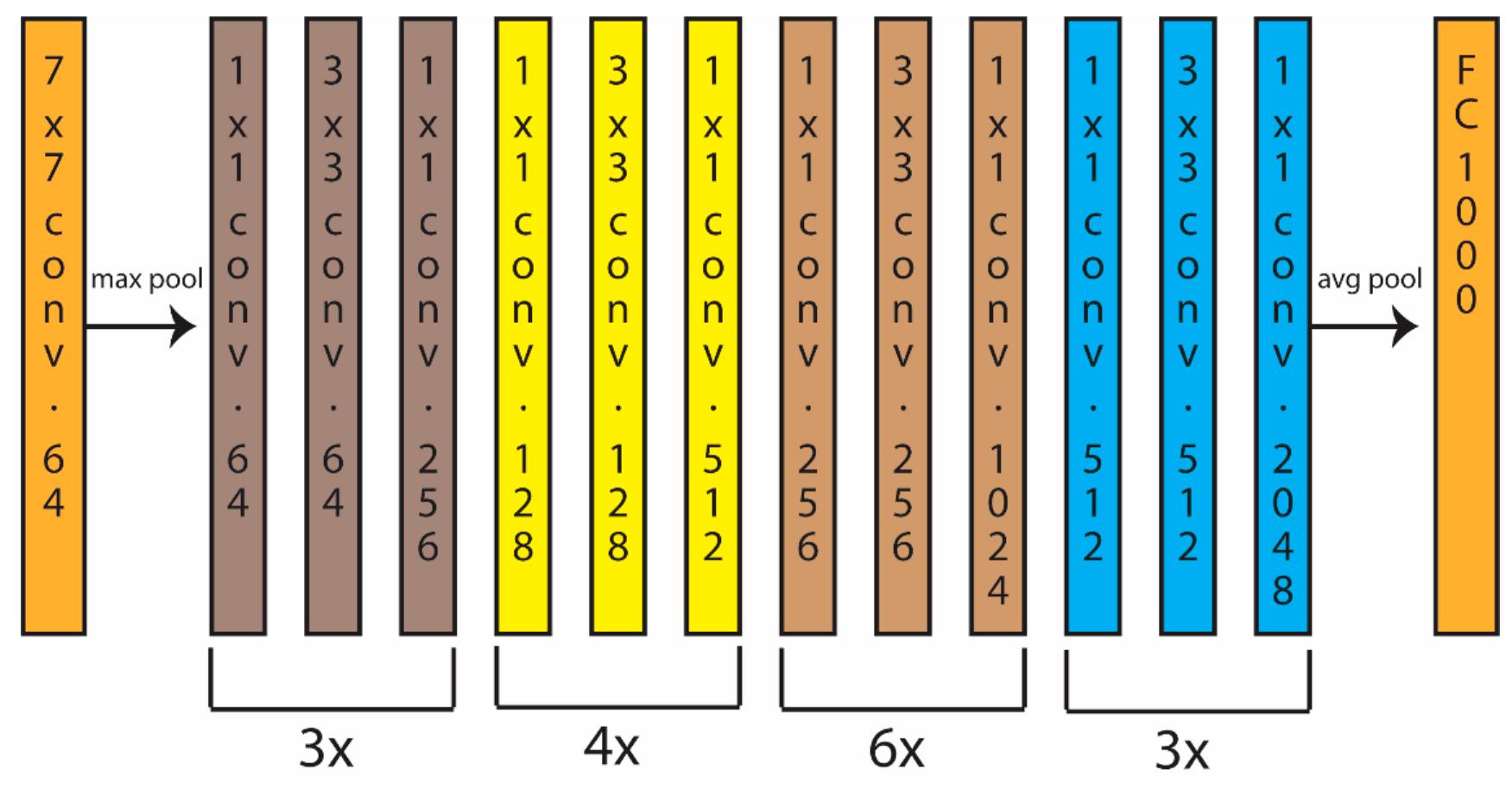 Schematic of resnet50. resnet50 is a residual learning