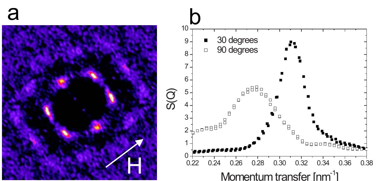 To be able to distinguish the nuclear from the magnetic