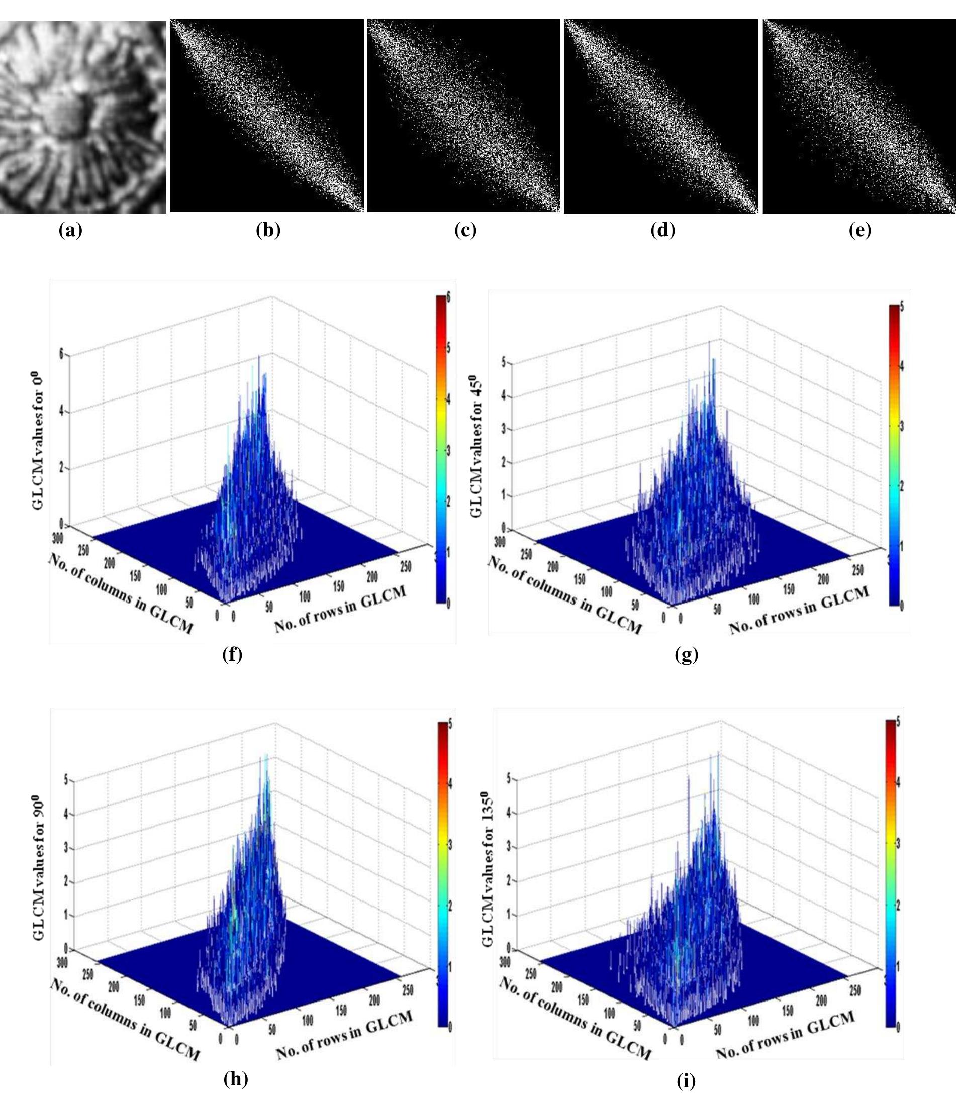 Shows the (a) sample image and the glcm matrix constructed