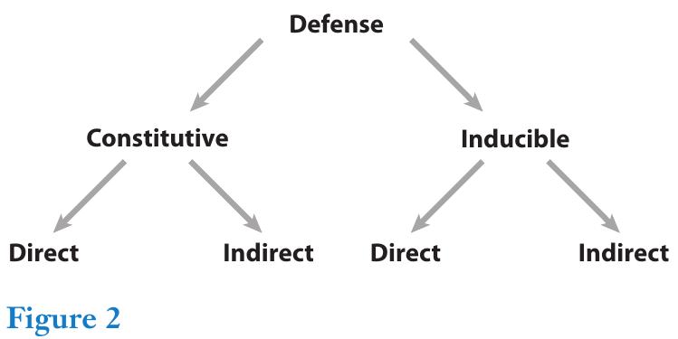 Types of plant defenses. chemical defenses: modes of action