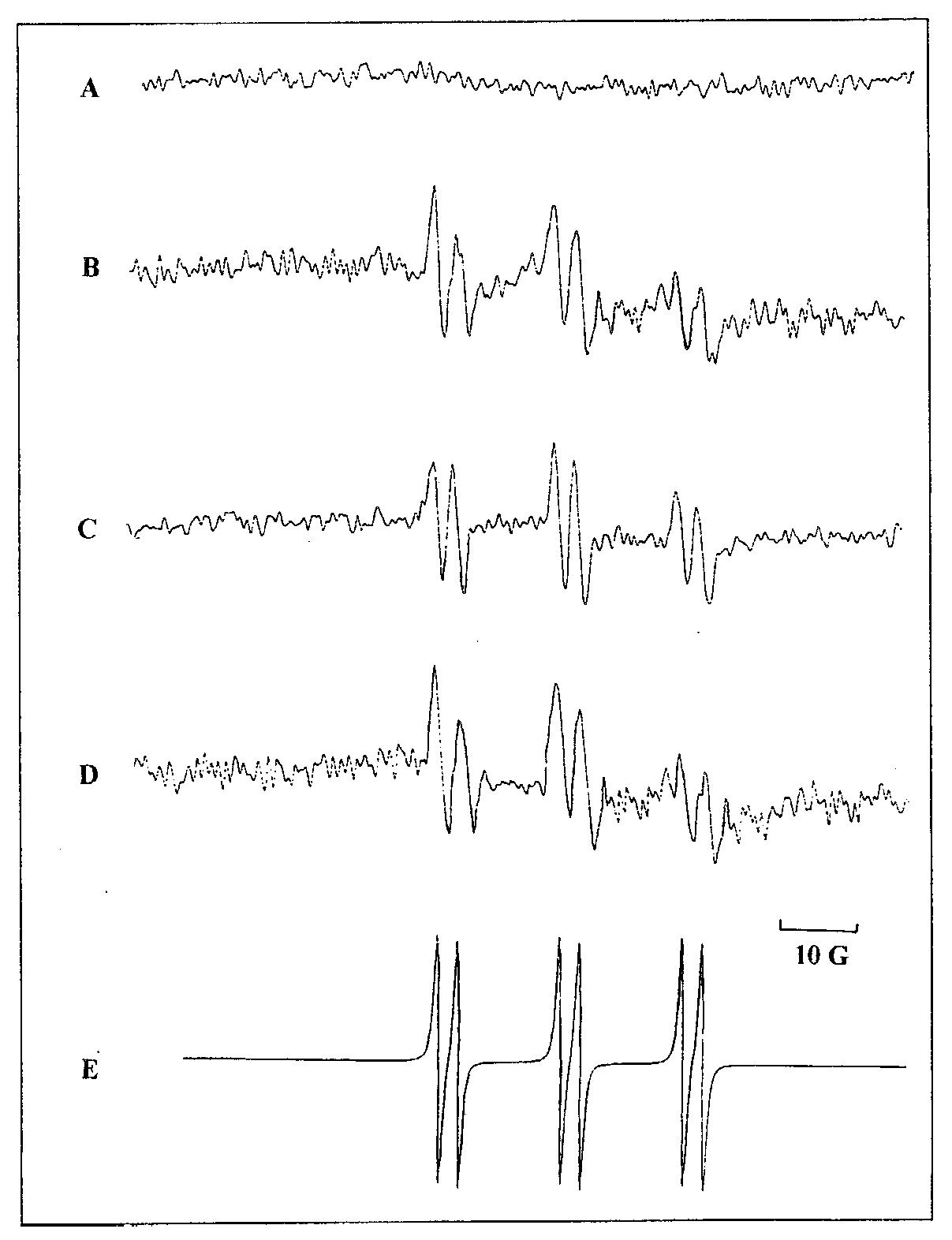 Typical lipid radical epr spectra of wheat leaves in the