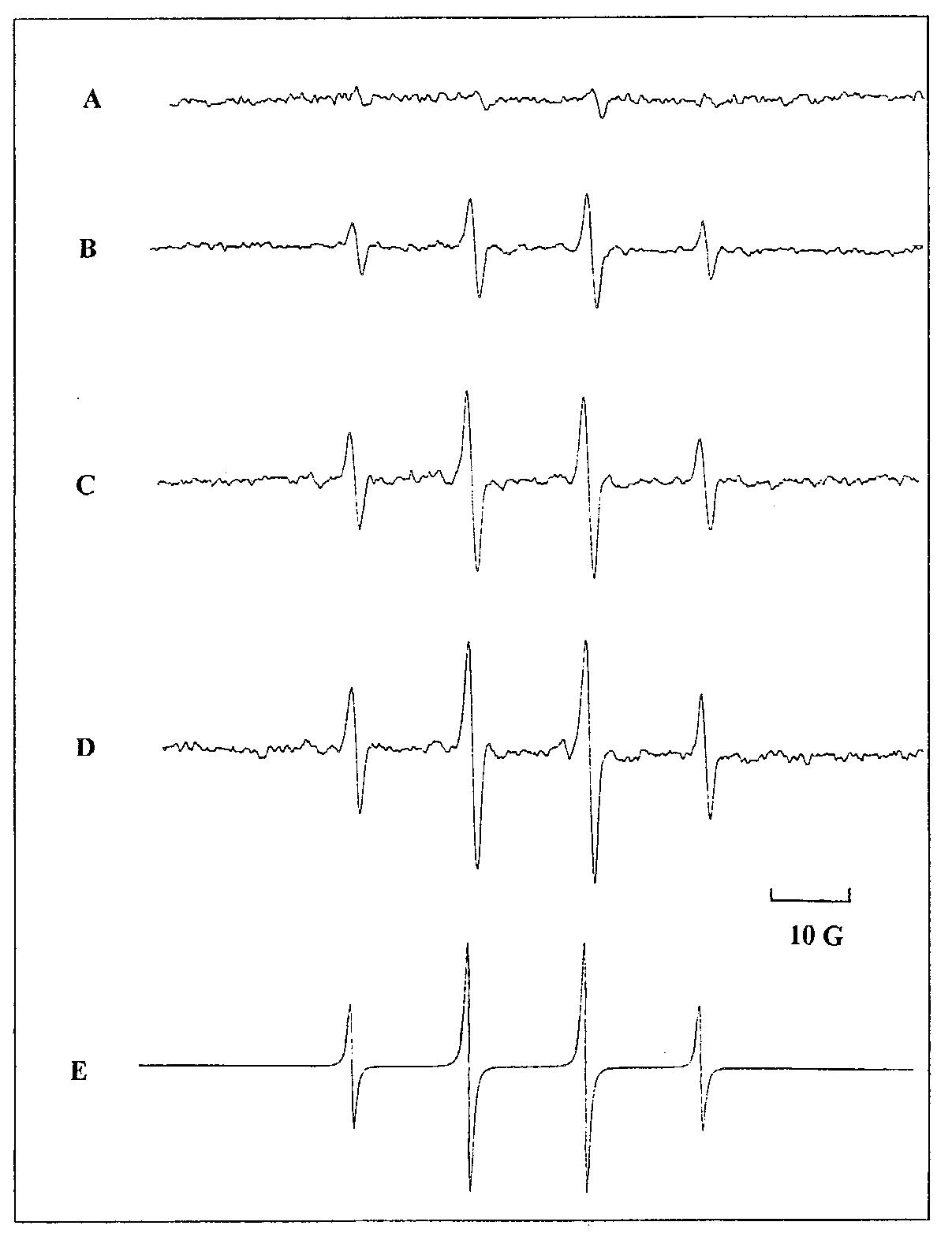 Typical hydroxyl radical epr spectra of wheat leaves