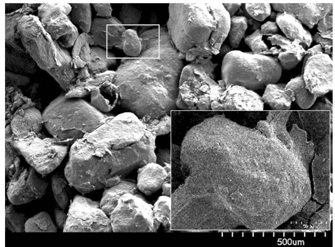 Sem image of consolidated sandstone. in the area shown at a