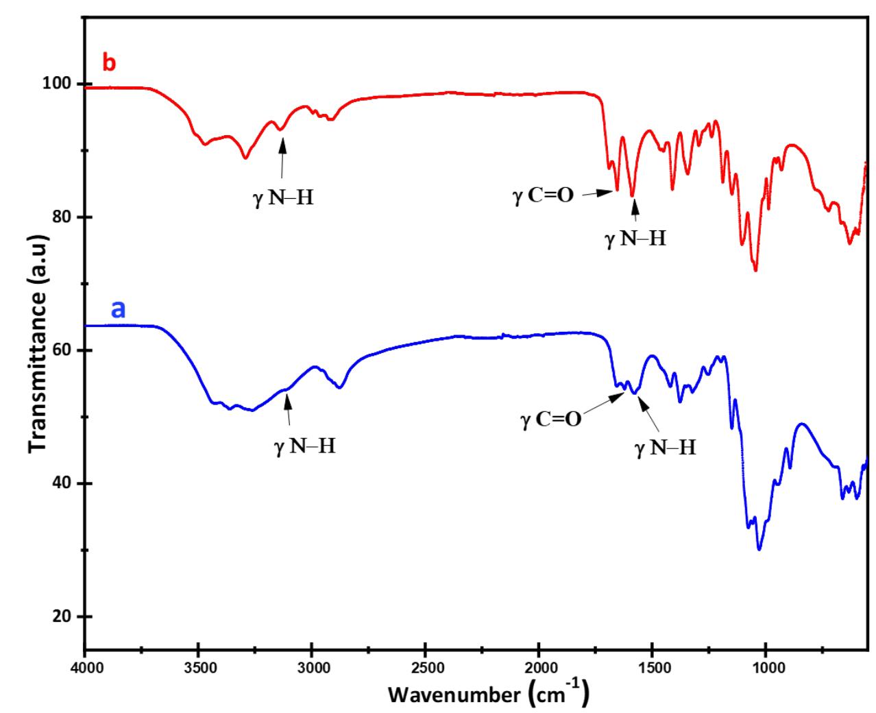 Shows the ftir absorption spectra of the prepared chitin and