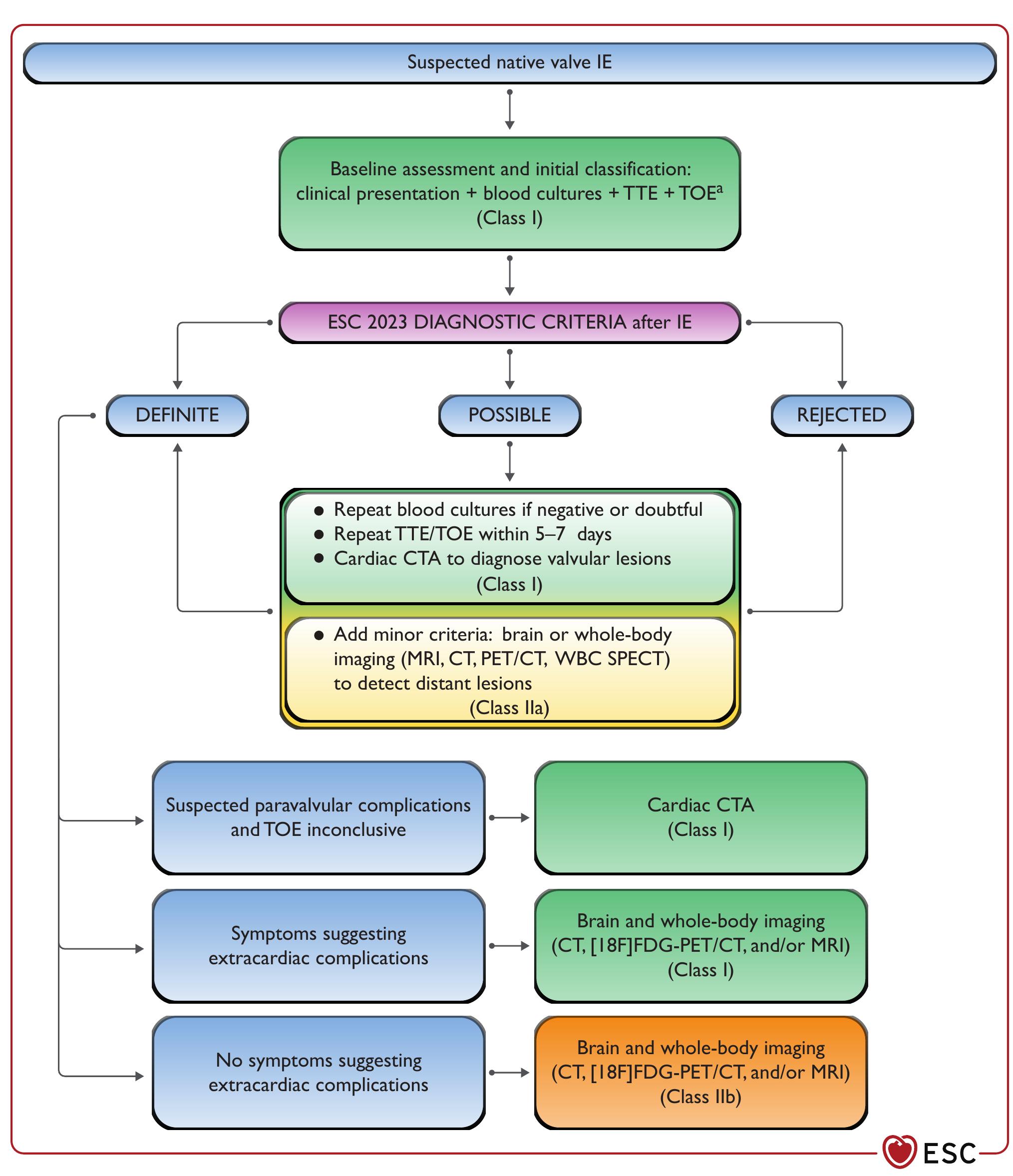 (PDF) 2023 ESC Guidelines for the management of endocarditis