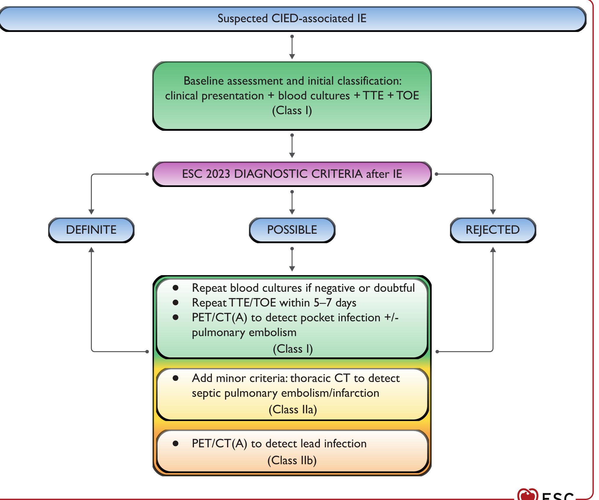 (PDF) 2023 ESC Guidelines for the management of endocarditis