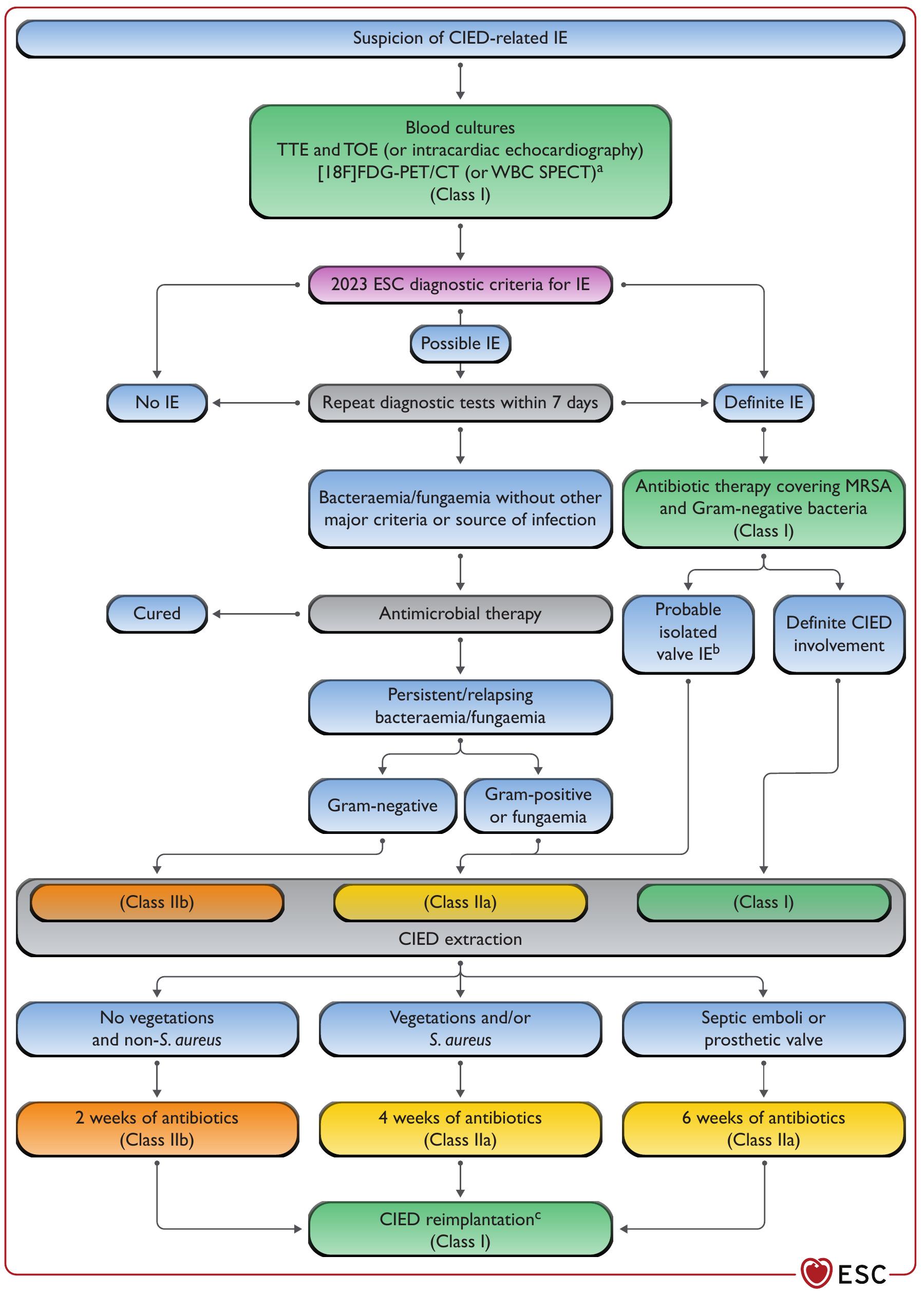 (PDF) 2023 ESC Guidelines for the management of endocarditis