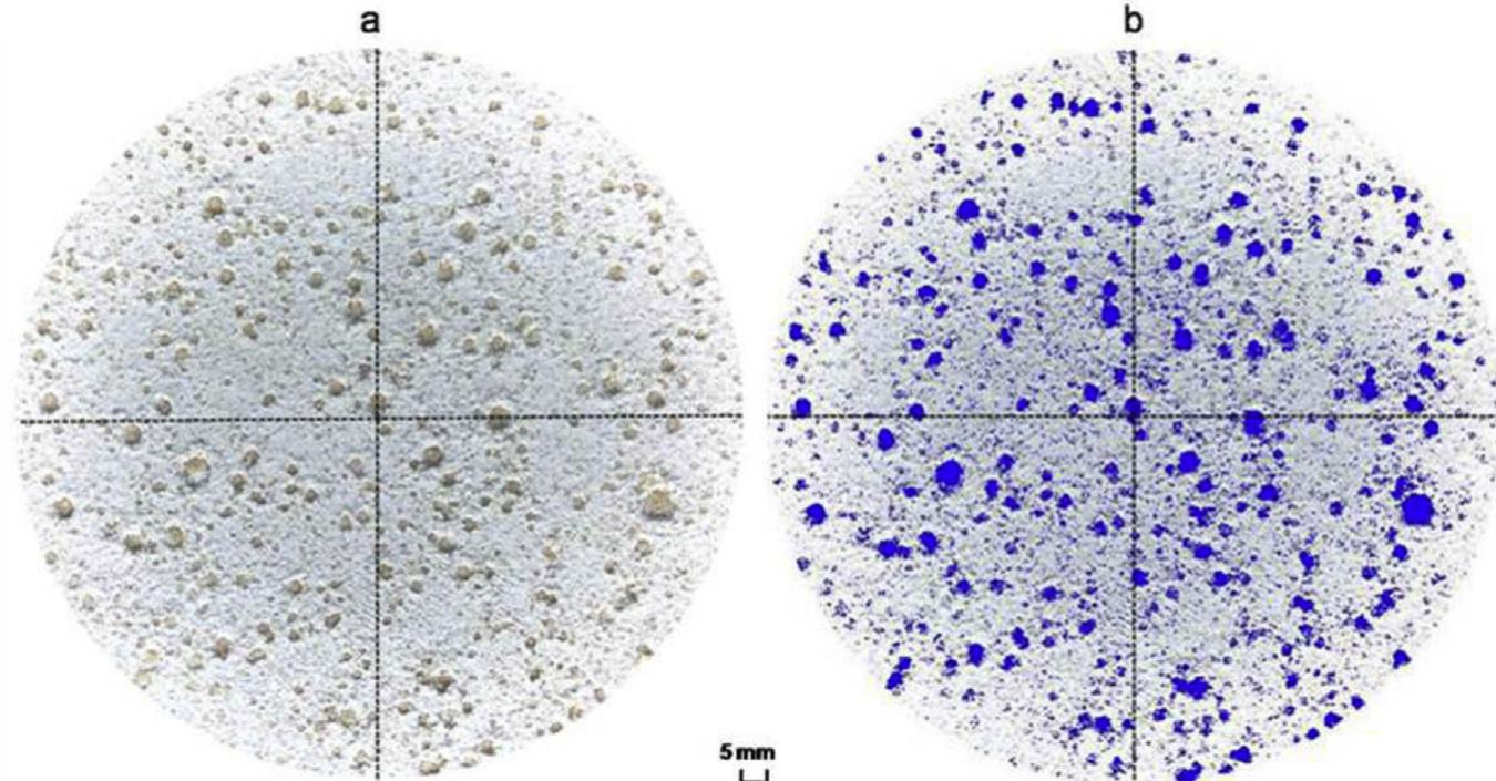 Drop size distribution using flour pellet method. (a) flour