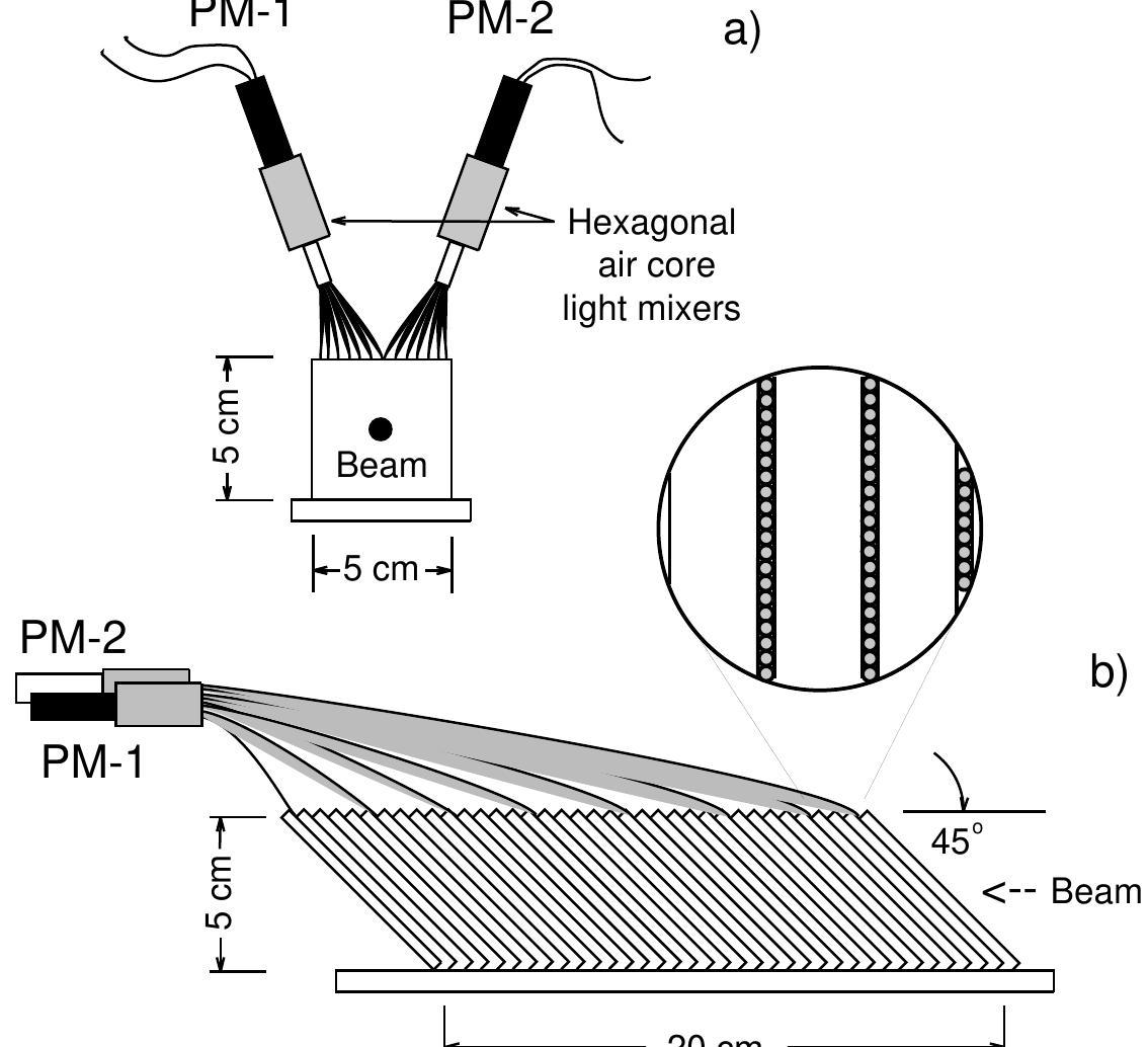Schematic front (a) and side (b) views of electromagnetic