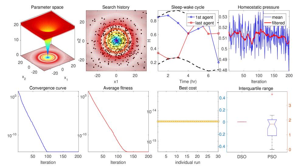 Illustration of the dso search and convergence analysis fot