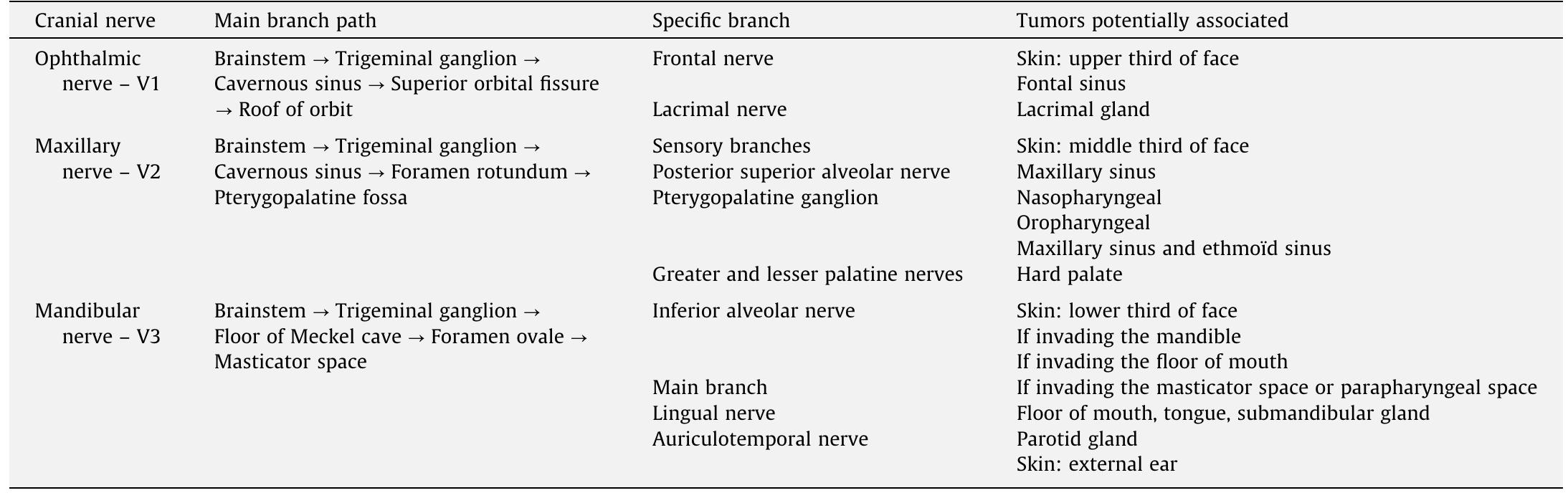 Ophthalmic (v1), maxillary (v2), and mandibular (v3) nerves