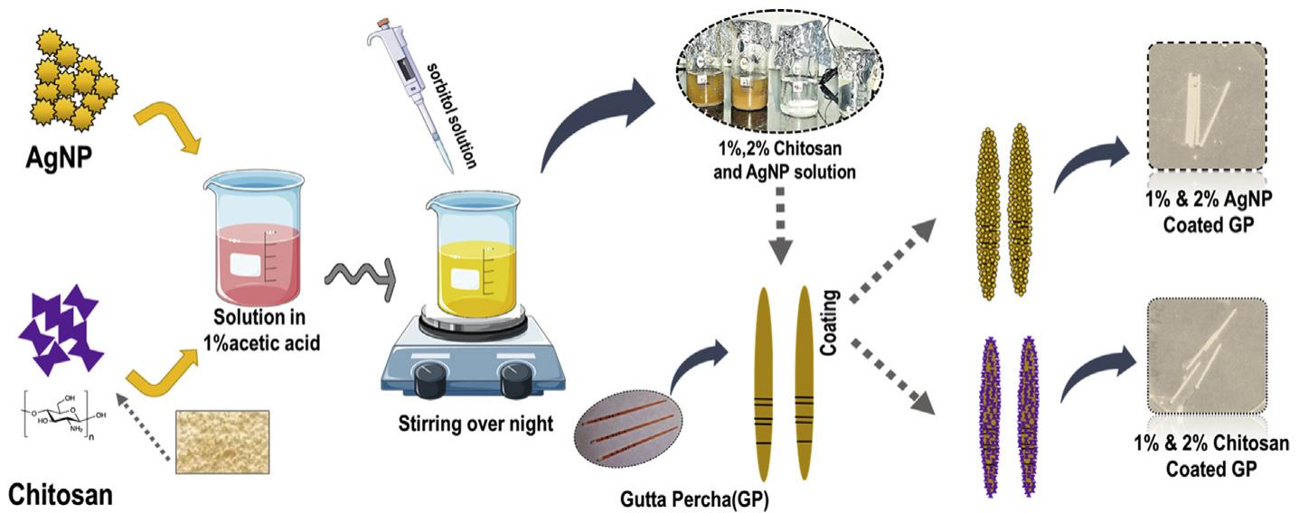 Schematic presentation of coating of gutta percha with 1%