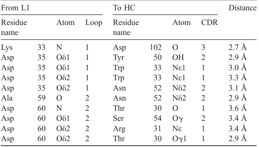 Listed are the atoms from l1 and their corresponding loops,