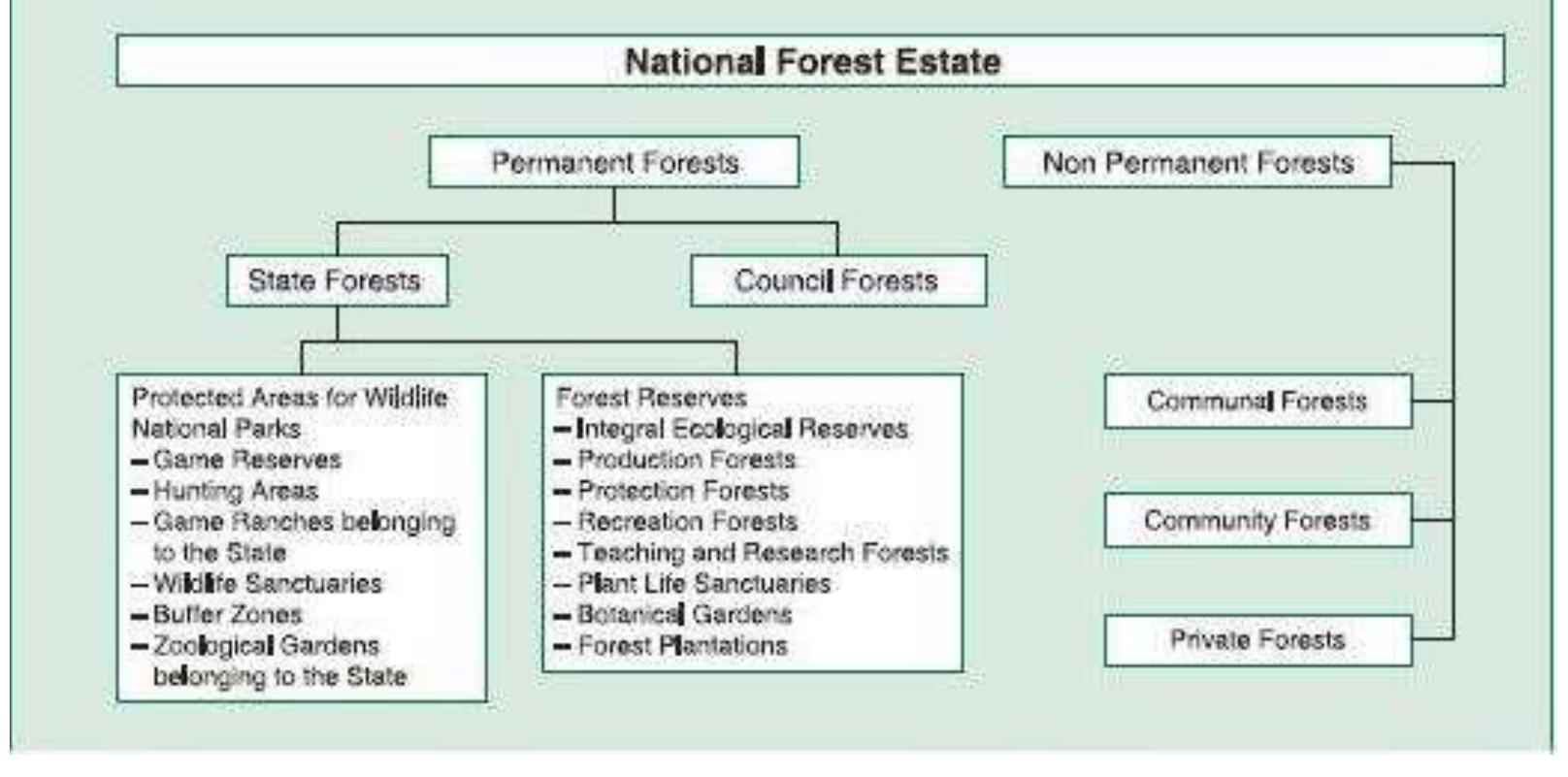 The forest zoning plan of cameroon from wri (2005)