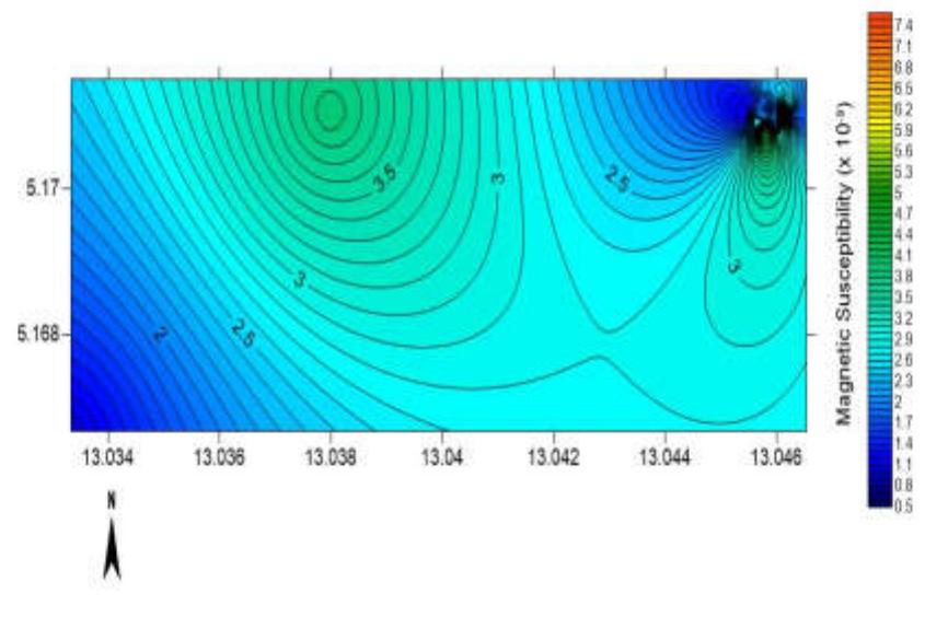 Spatial distribution map of magnetic susceptibility at site