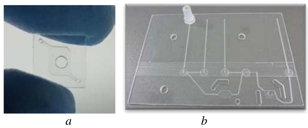 Gelification for on-chip storage of reagents has been