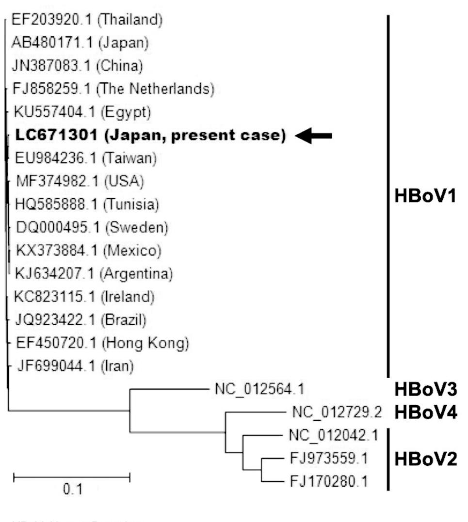 “ig. 2. a phylogenetic tree showing the genetic relationship