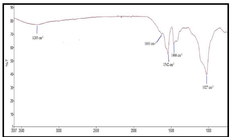 Ft-ir spectra of the isolated chitin from sardine fish