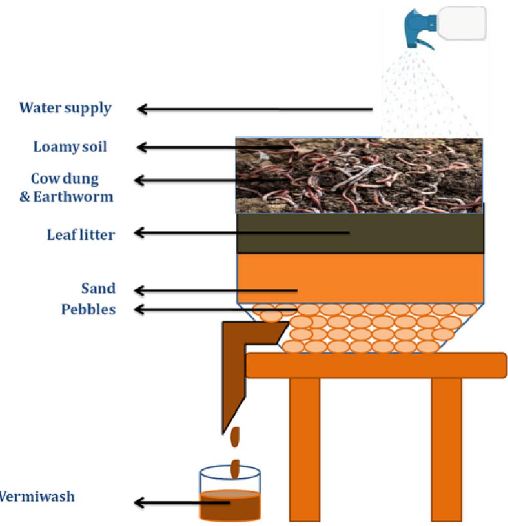 Schematic diagram of vermicomposting unit.