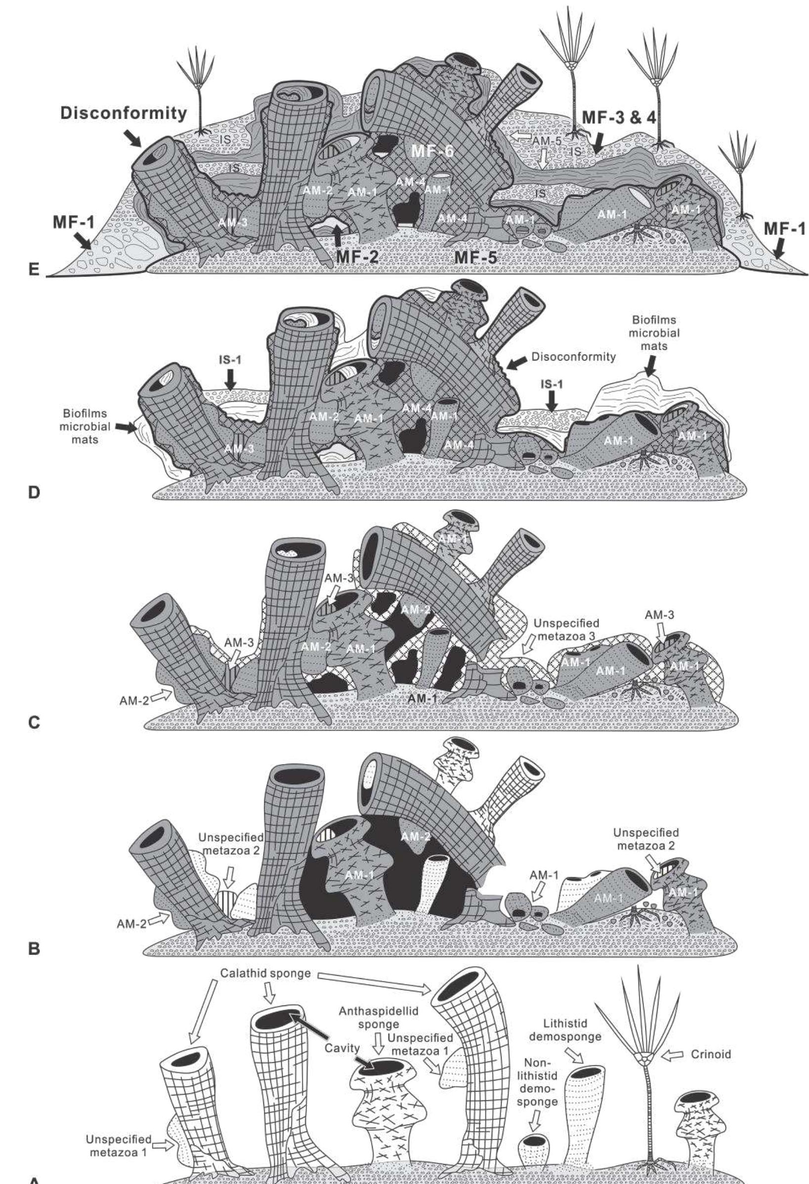 -18 conceptual illustration of the formation of