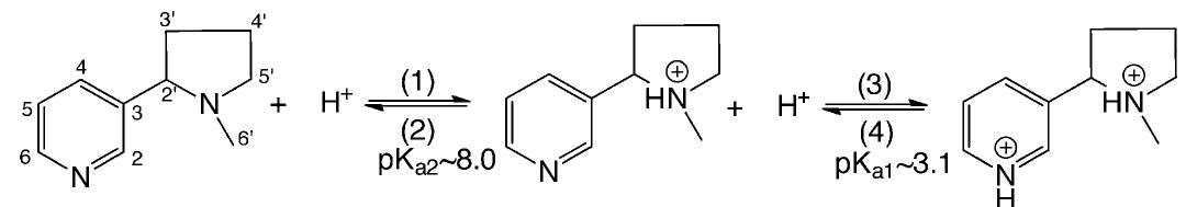 Structural formula of free nicotine and its protonated