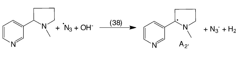 The azidyl radical ‘n, reacts with nicotine with a rate