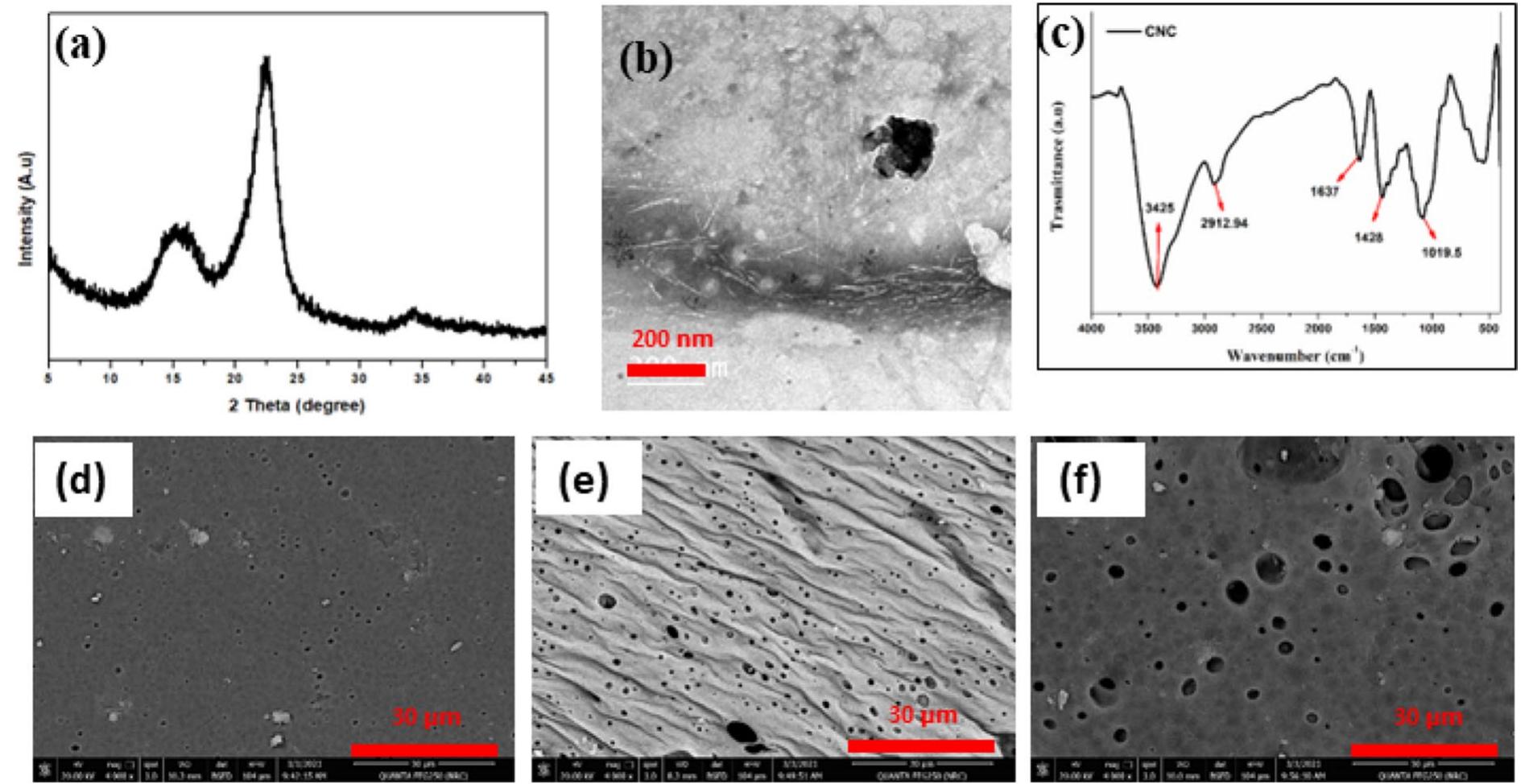 Scheme shows cnc characterization: a cnc xrd, b cnc tem