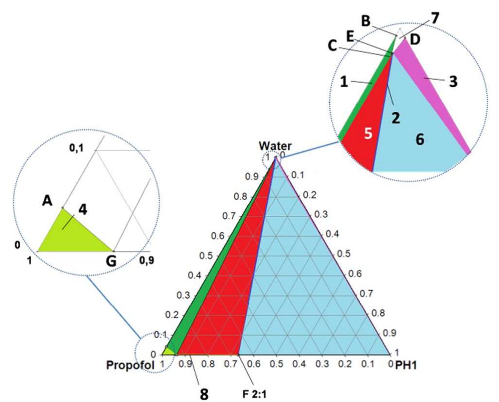 Actual phase diagram of prop-phi built on the experimental