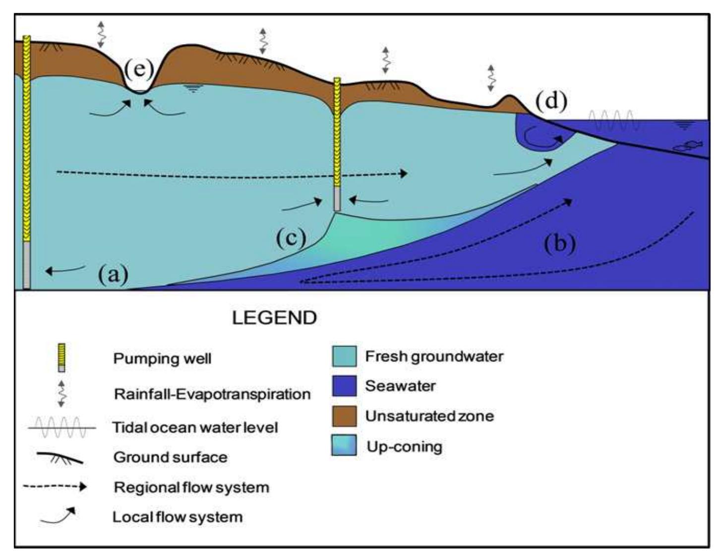Pumping from coastal aquifers can cause the vertical rise of