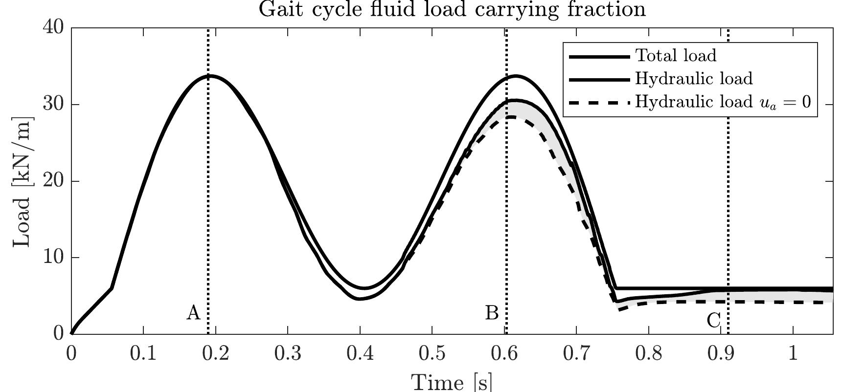 Fluid load (hydraulic load) during gait cycle from figure 30