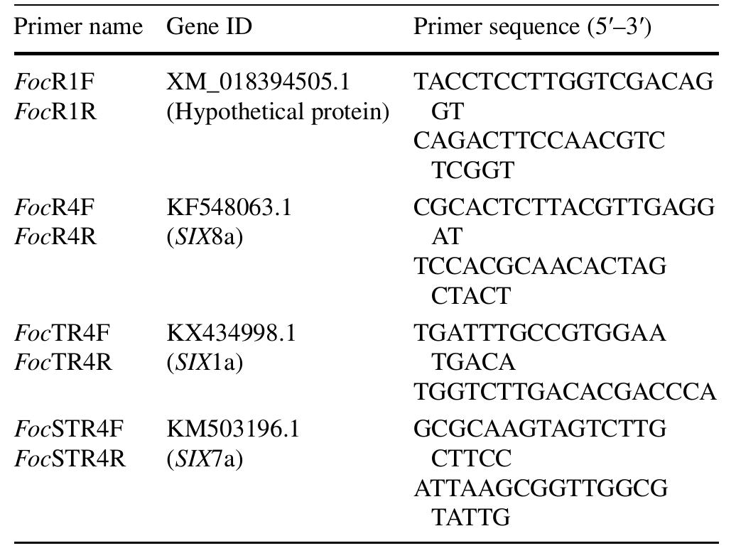 List of foc race-specific primers developed to identify