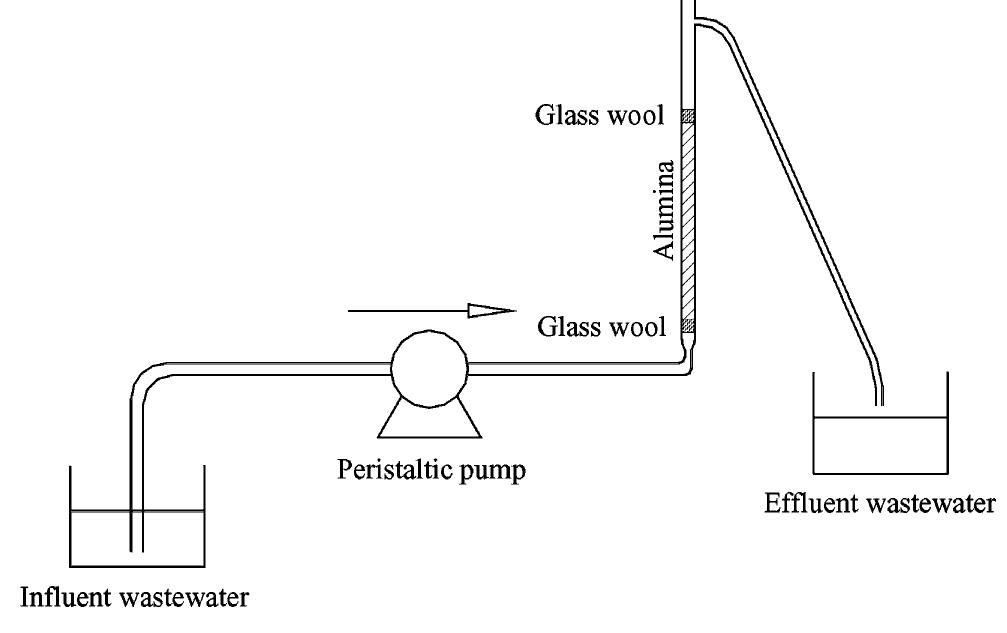 Schematic diagram of fixed bed column experimental set up.
