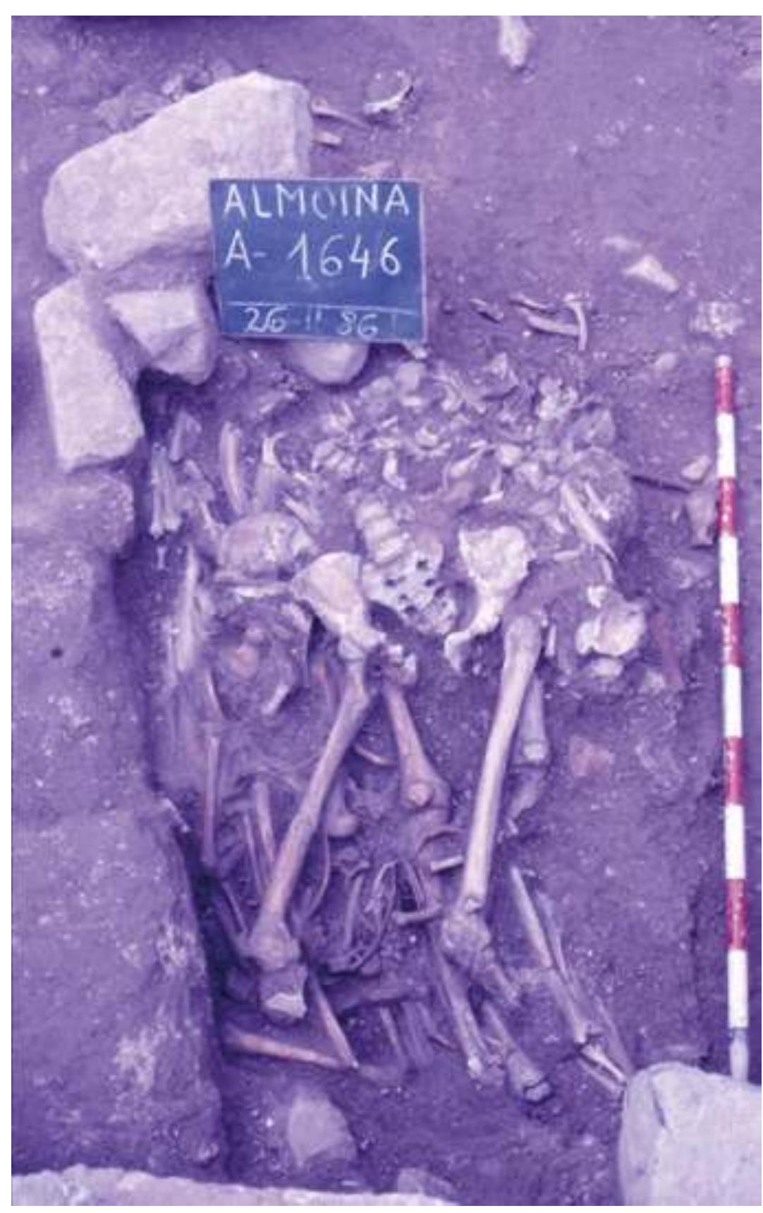 Tomb 41. skeletons in the superficial stratum. (su 1646).