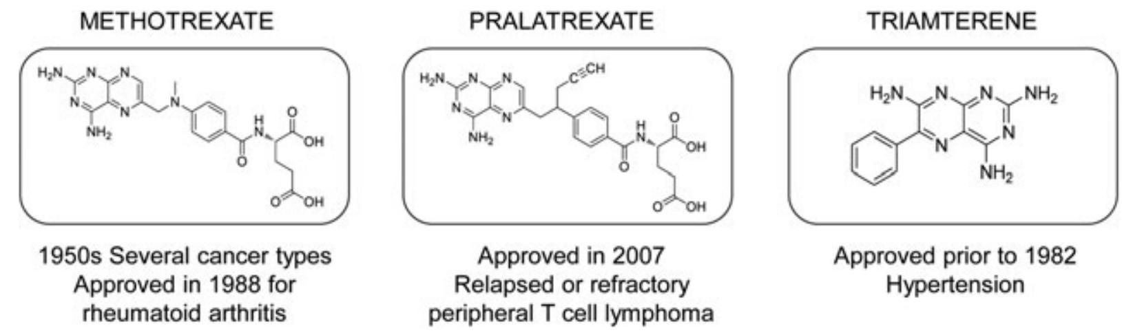 Chemical structure of fda approved pteridine derivatives