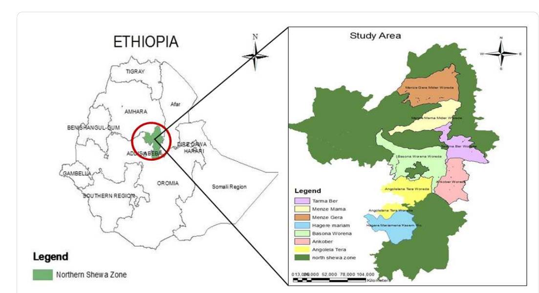 Map of study districts in north shewa zone of ethiopia.