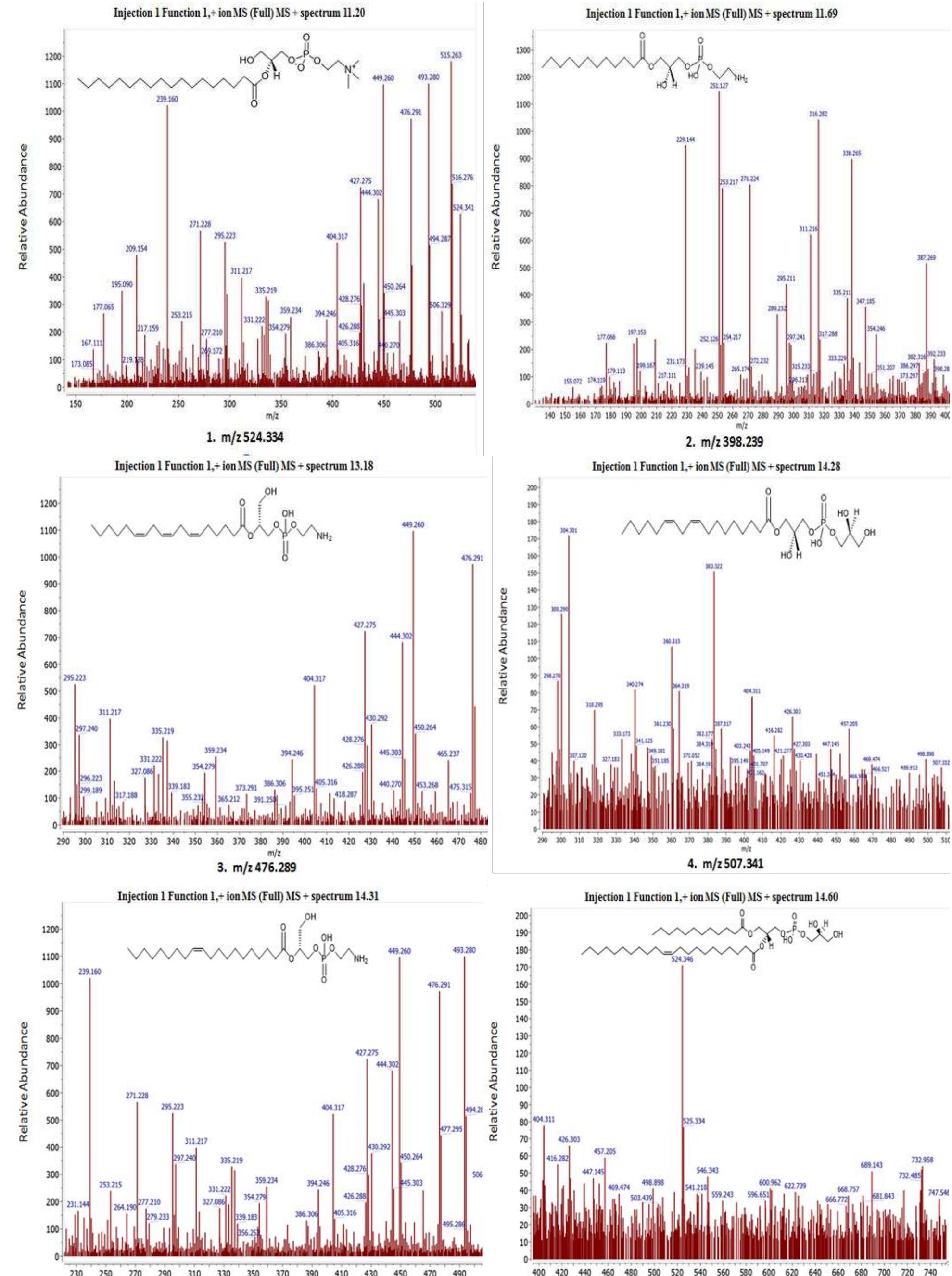 Figure 15 - Comprehensive liquid chromatography-mass