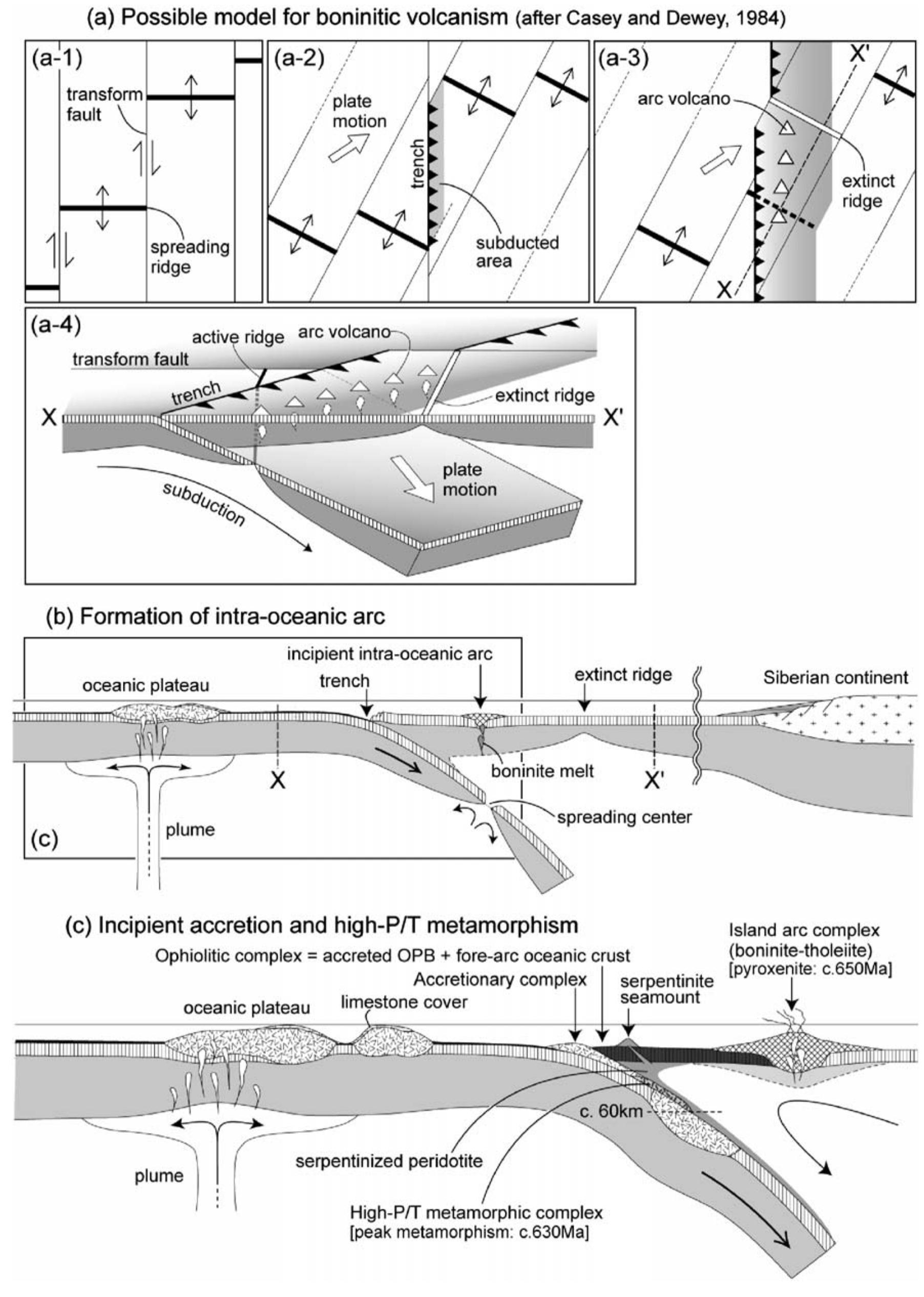 Cartoons showing the tectonic evolution of the