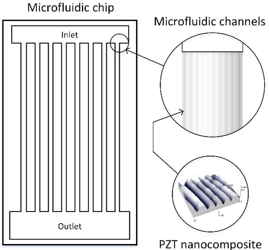 Schematic view of a microfluidic microchip and close-up of