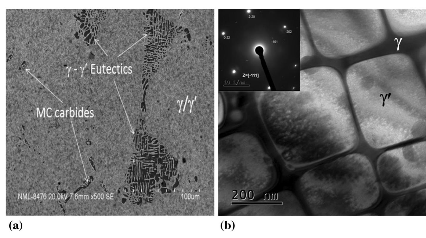 (a) sem micrograph showing the microstructure of the