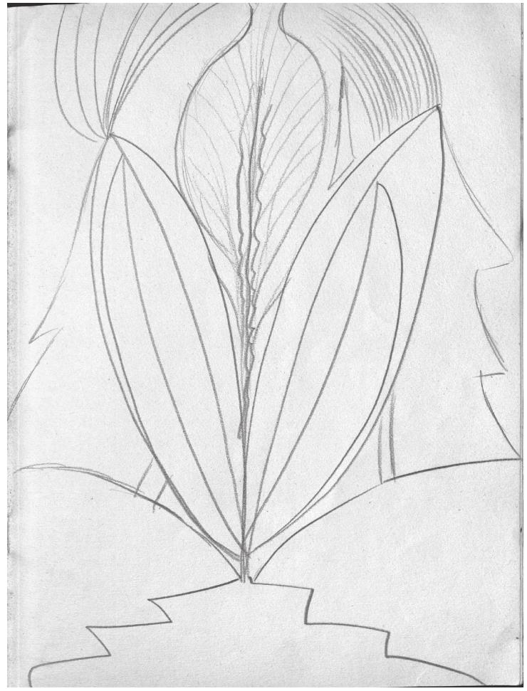 Figure 8 - from Fail Better: Lucia Joyce and the Abbey