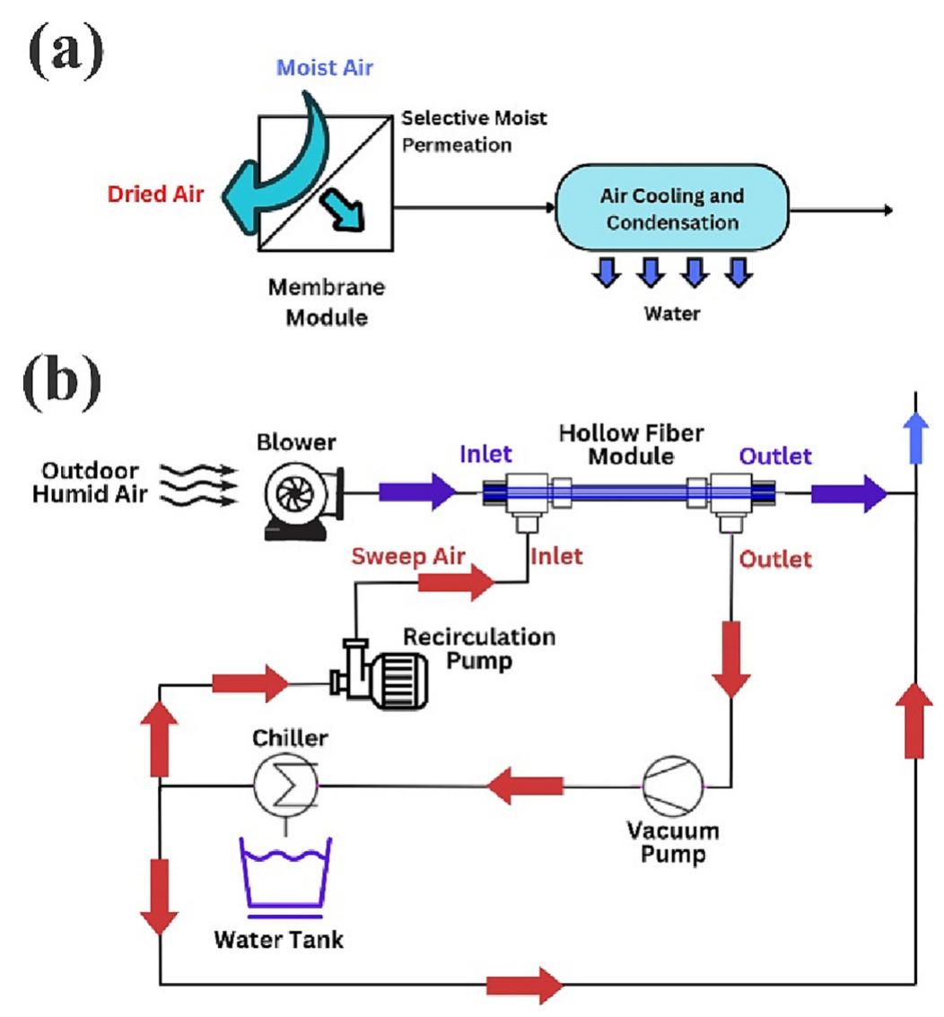 (a) membrane-assisted water condensation setup for water