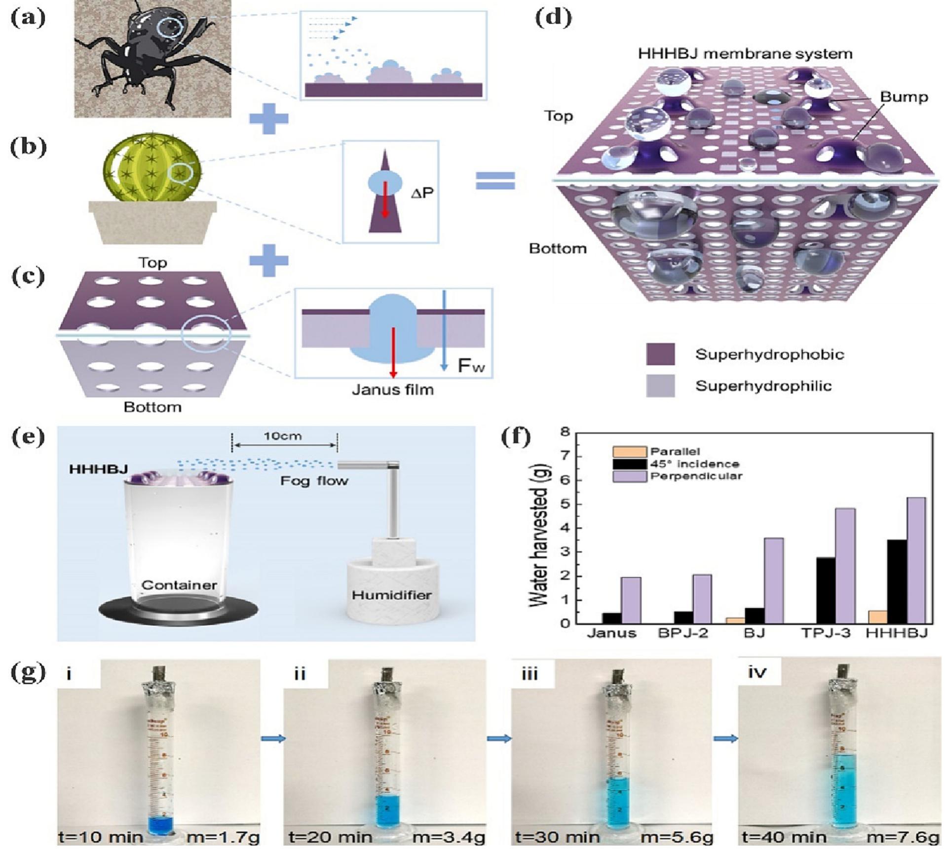 (PDF) A comprehensive review on atmospheric water harvesting ...