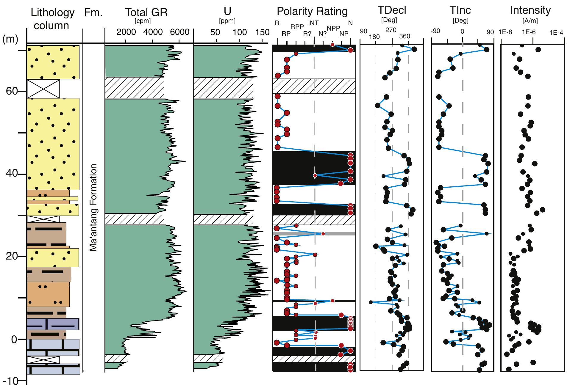 E.4. magnetostratigraphy of the hanwang section with total