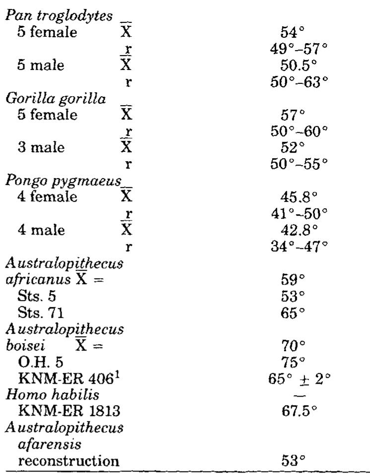 (PDF) Cranial morphology ofAustralopithecus afarensis: A comparative ...