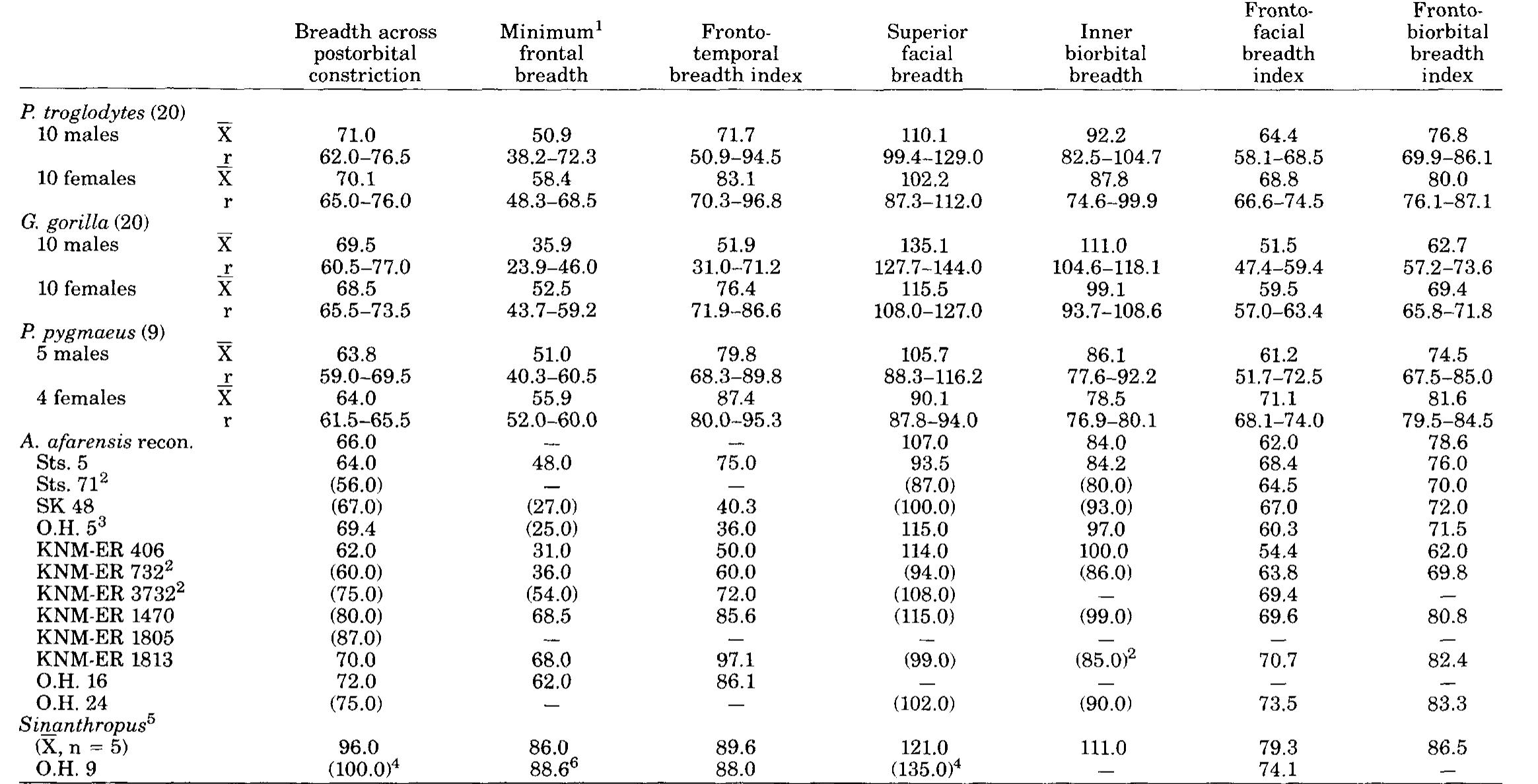 (PDF) Cranial morphology ofAustralopithecus afarensis: A comparative ...