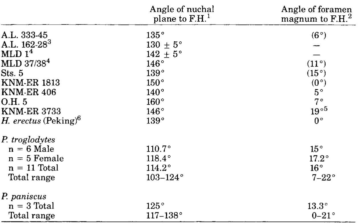 (PDF) Cranial morphology ofAustralopithecus afarensis: A comparative ...