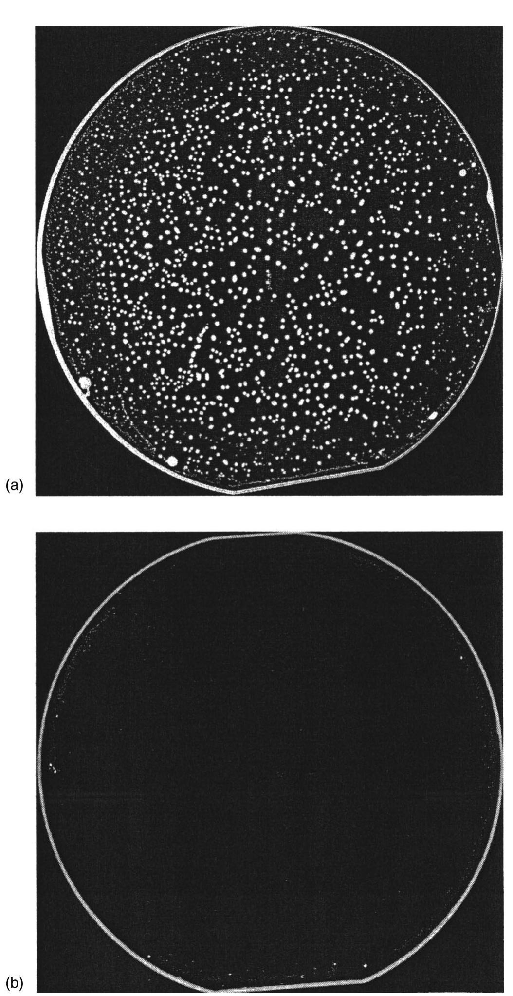 (a) asam image of a hydrophilic si/si wafer pair. the wafer