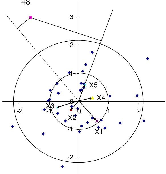 Gh biplot representation, plane 2-3, obs. 48 this paper