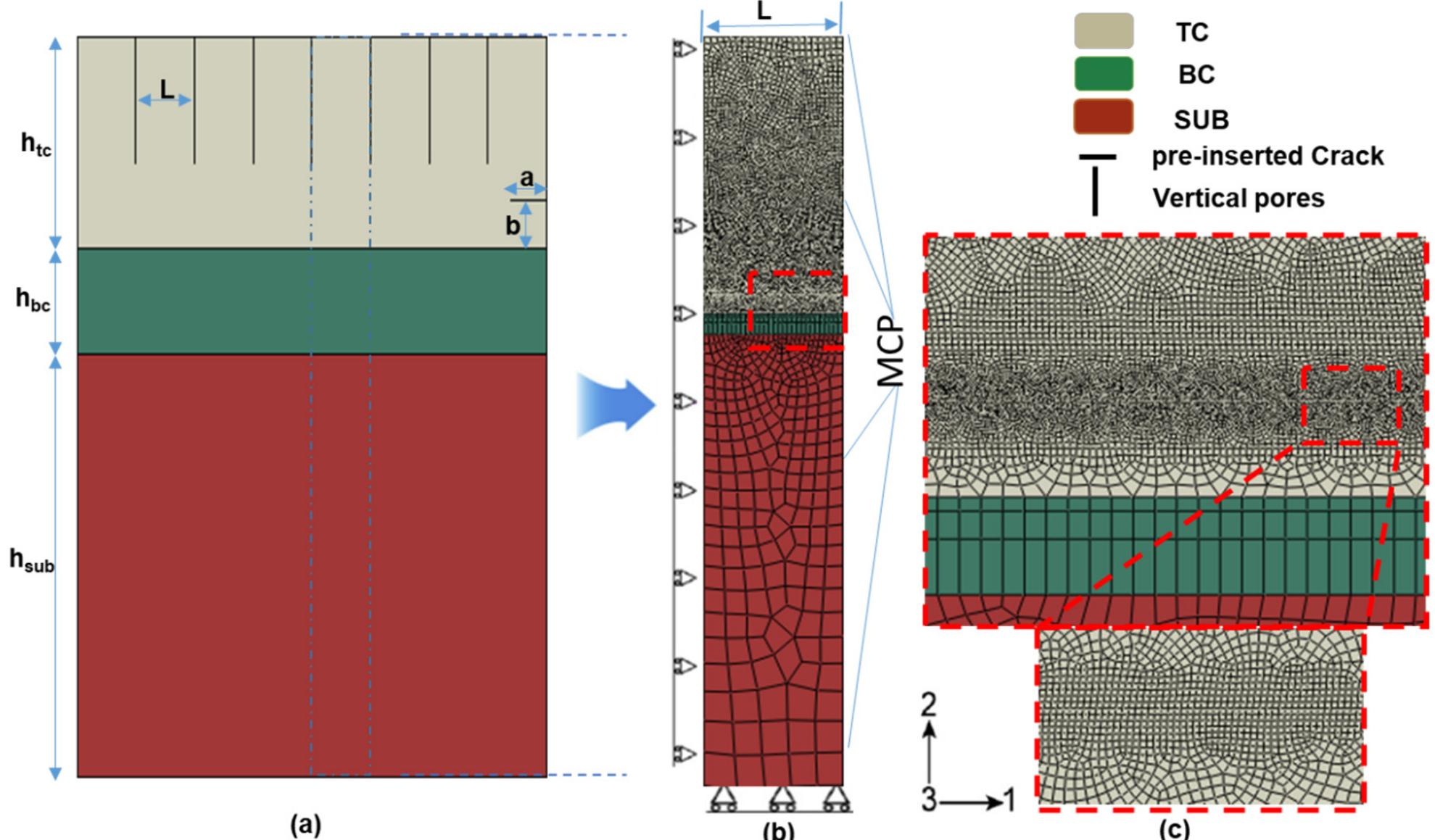 Model of tbcs with vertical cracks in tc: (a) the model