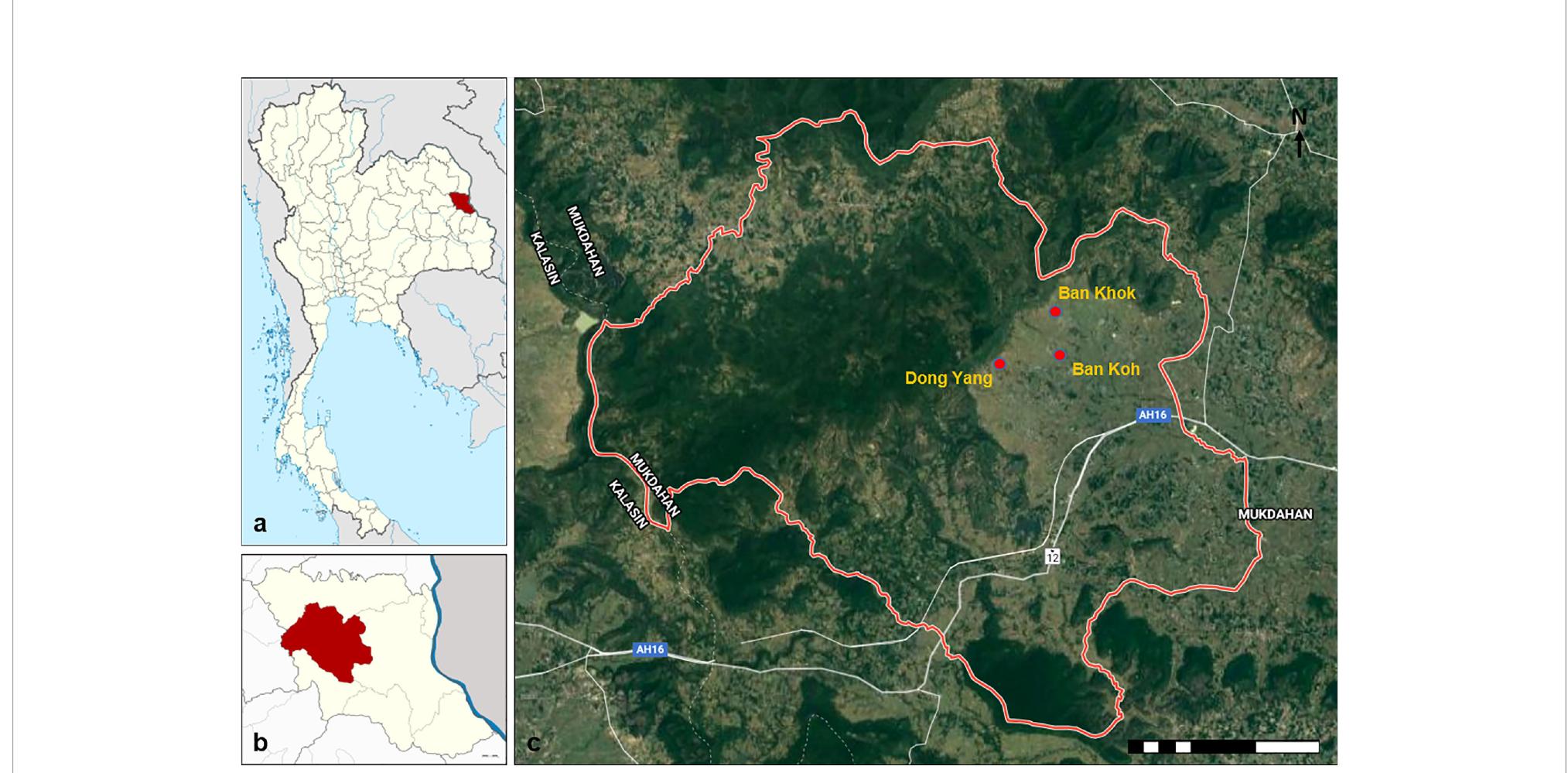 Map of the study area. (a) map of thailand showing the